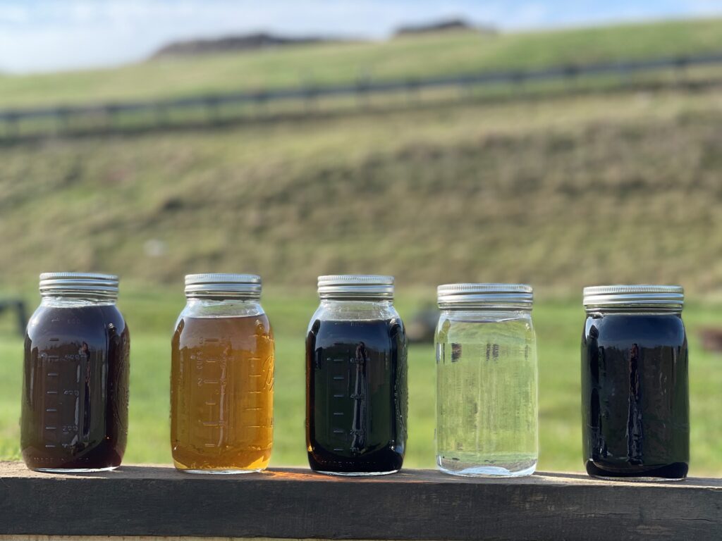 ZwitterCo Membranes for Landfill Leachate Management | ZwitterCo